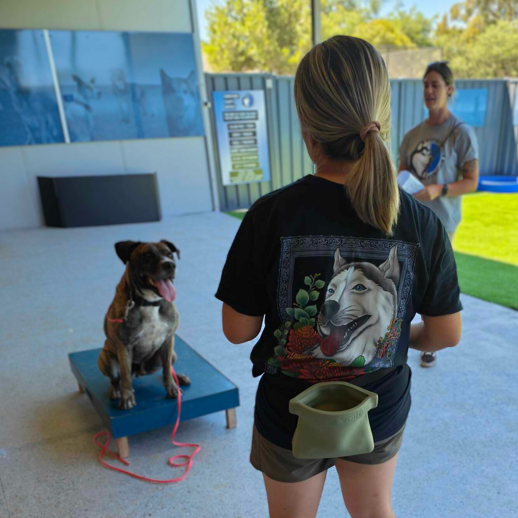 Products – Major Buzzkill